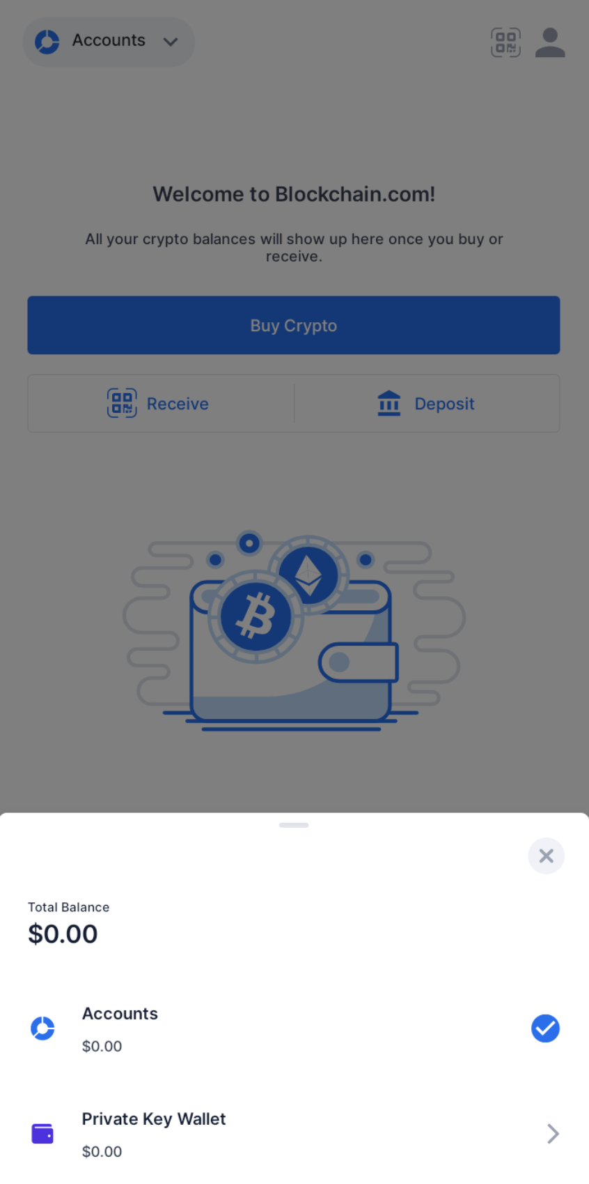 Sending and receiving cryptocurrencies on multiple networks ...